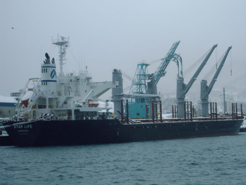 DELLA - Dry bulk / Handysize