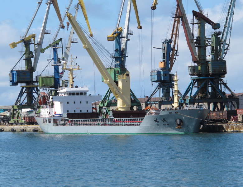 FU CHENG - Dry bulk / Mini bulkers 2