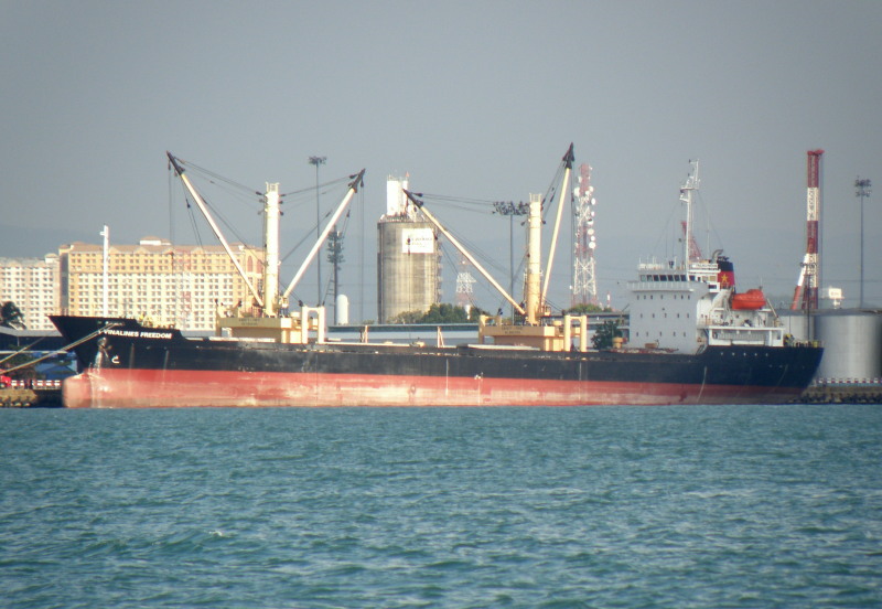 VIMC FREEDOM - Dry bulk / Mini bulkers 3