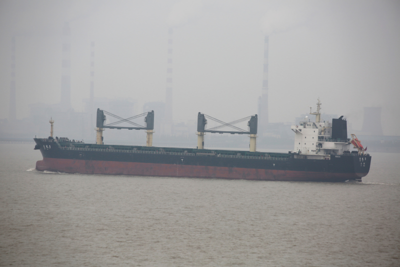 BAO RUI TONG - Dry bulk / Handysize