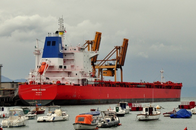 GOLDEN GINGER - Dry bulk / Kamsarmax