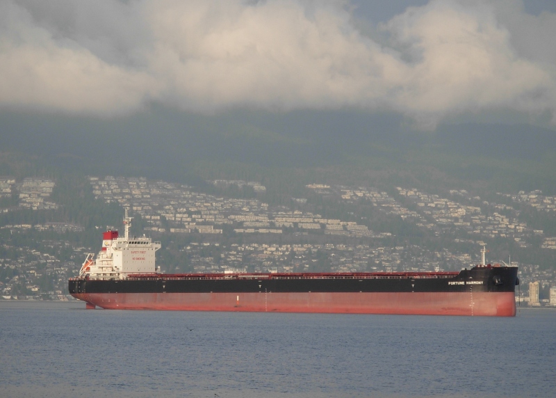 OCEAN SCALLION - Dry bulk / Kamsarmax