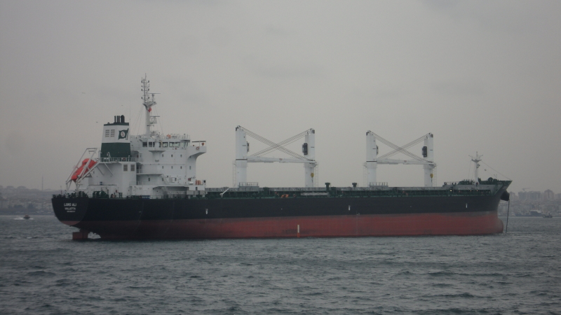 ELISAR - Dry bulk / Handysize