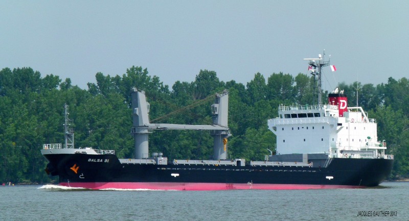 BALSA 91 - Dry bulk / Mini bulkers 2 / General cargo