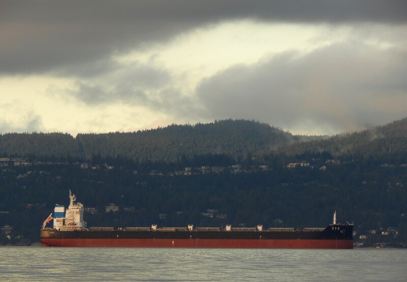 XIN QI MENG - Dry bulk / Kamsarmax