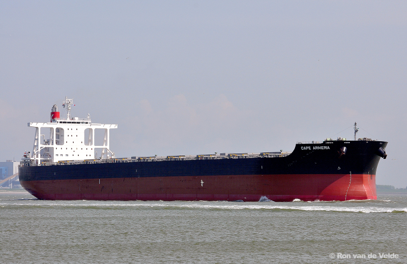 CAPE ARMERIA - Dry bulk / Cape