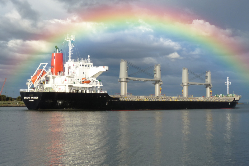 LADY LILLY - Dry bulk / Handysize