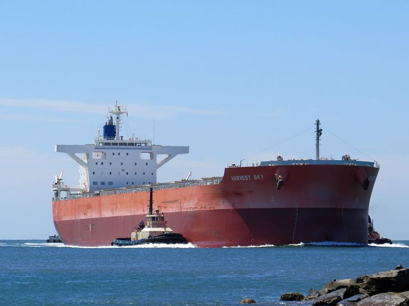 VENUS HARMONY - Dry bulk / Post Panamax