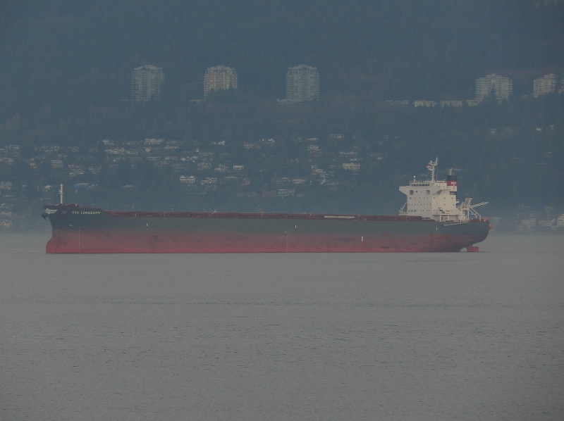 CSK LONGEVITY - Dry bulk / Panamax