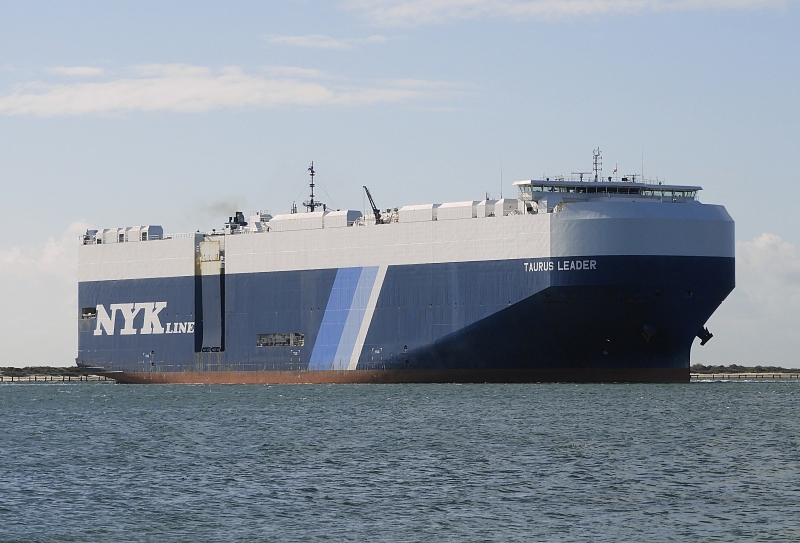 TAURUS LEADER - Car carrier / Large