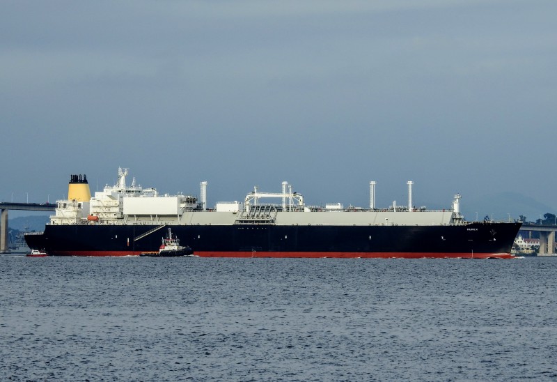 MUREX - LNG / Large