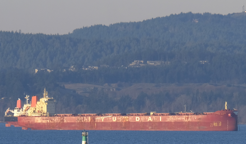 HL LEADER - Dry bulk / Kamsarmax