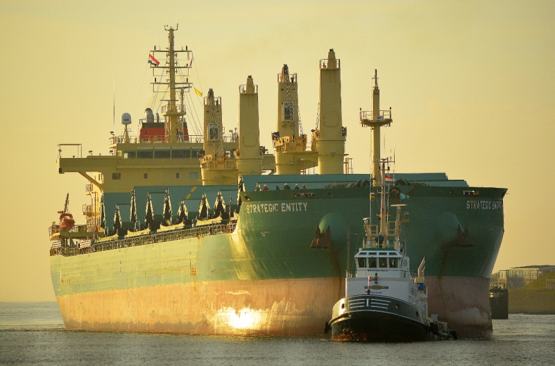 STRATEGIC ENTITY - Dry bulk / Handysize STRATEGIC ENTITY - Dry bulk / Handysize