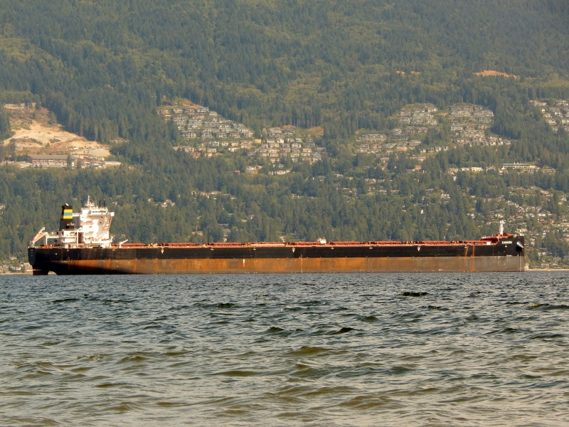 TRUE NAVIGATOR - Dry bulk / Newcastlemax