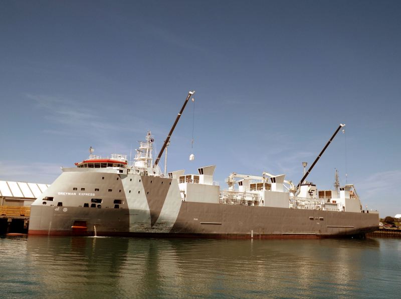 GREYMAN EXPRESS - Livestock