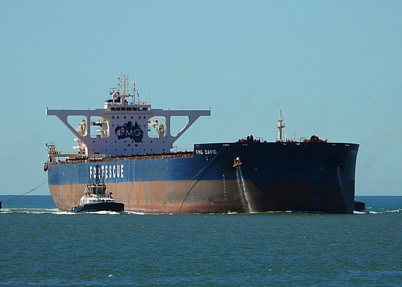 FMG DAVID - Dry bulk / Ultra Cape / Ore carrier