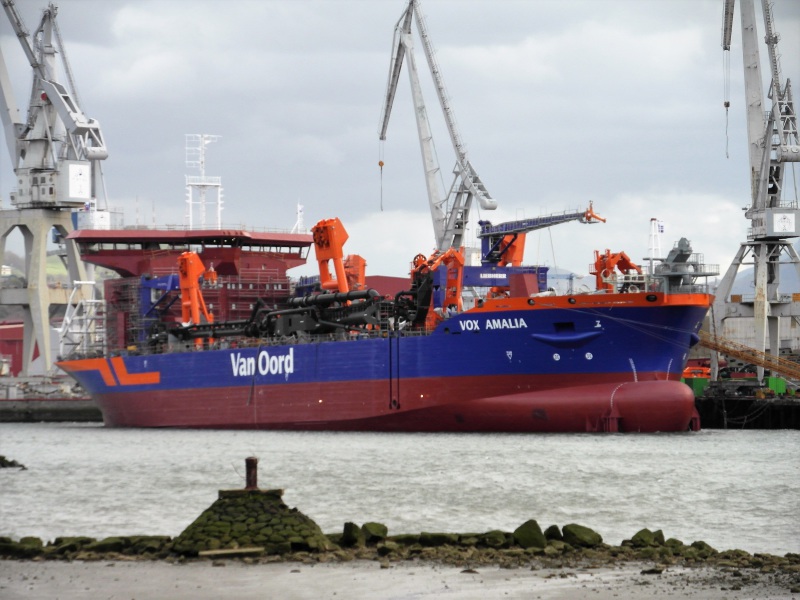 VOX AMALIA - Dredging