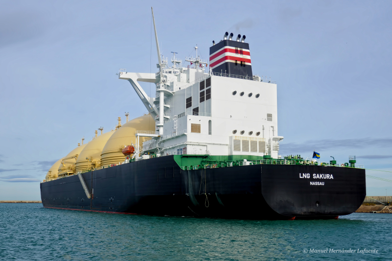 LNG SAKURA - LNG / Large