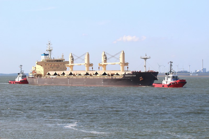 HARVESTER - Dry bulk / Handysize