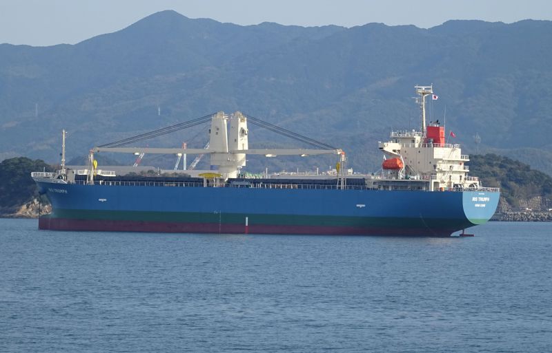 IRIS TRIUMPH - Dry bulk / Handysize / General cargo