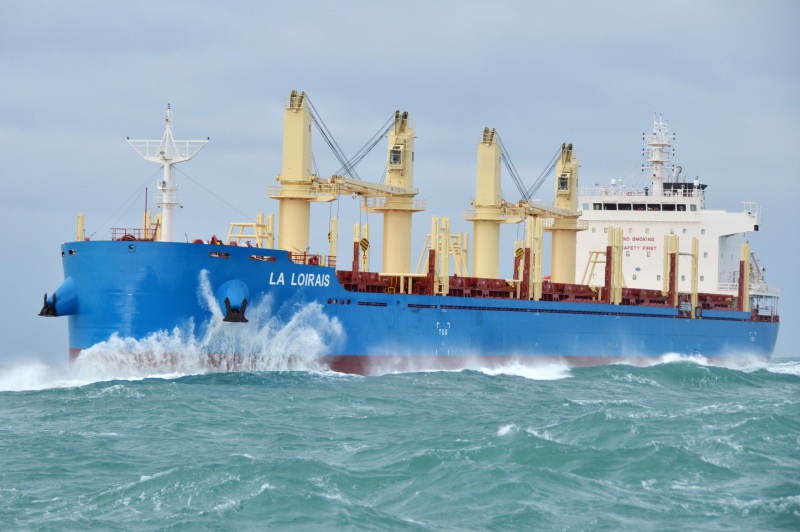 AFRICAN PETREL - Dry bulk / Handysize