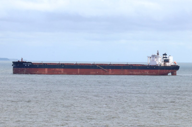 PACIFIC AUSPICE - Dry bulk / Ultra Cape / Ore carrier