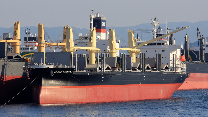 EARTH HARMONY - Dry bulk / Handysize