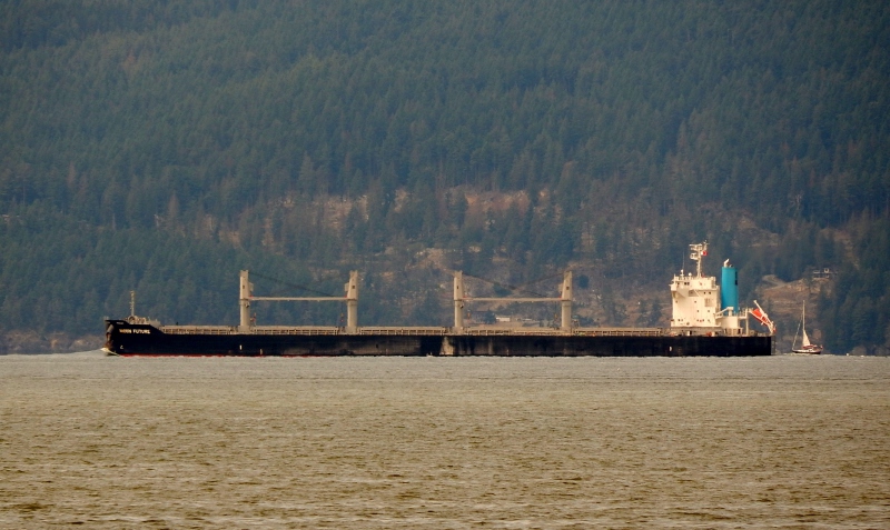 TURTLE ISLAND - Dry bulk / Ultramax