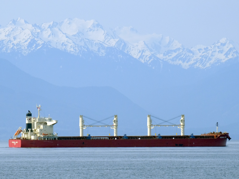 FEDERAL IBUKI - Dry bulk / Ultramax
