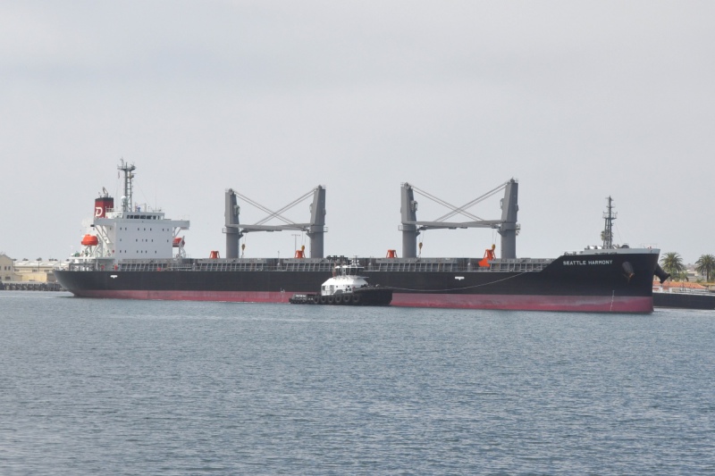 SEATTLE HARMONY - Dry bulk / Handysize