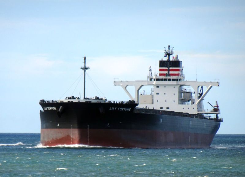 LILY FORTUNE - Dry bulk / Post Panamax