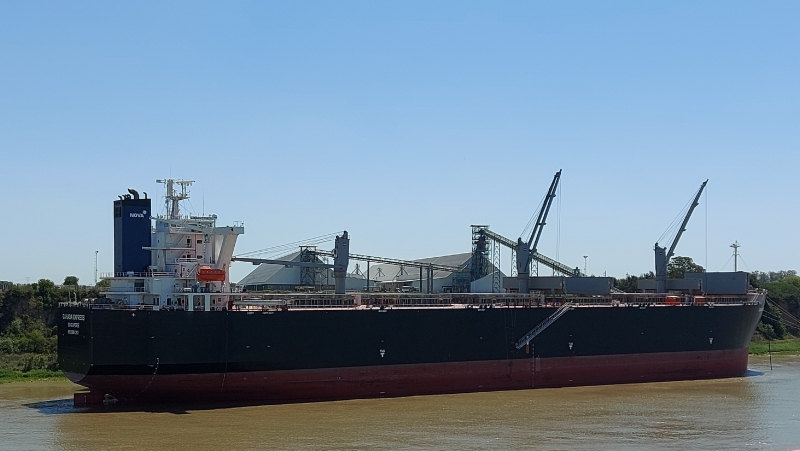CANADA EXPRESS - Dry bulk / Panamax / Wood chip carrier