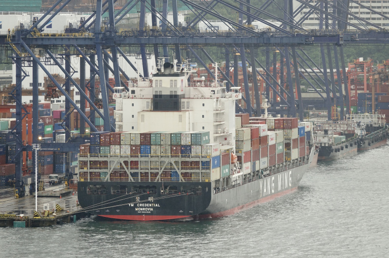 YM CREDENTIAL - Container / Feeder 3