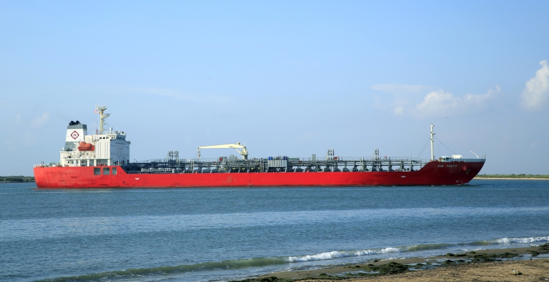 EVA TOKYO - Chemical / Flexy