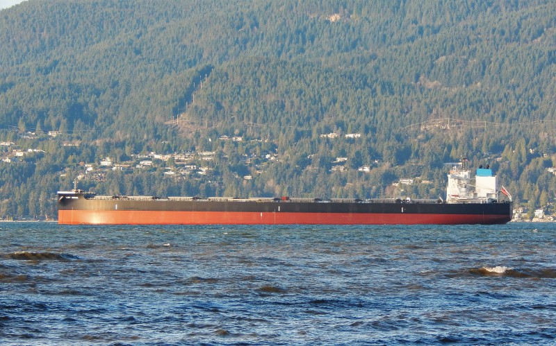 LADY DEENA - Dry bulk / Cape