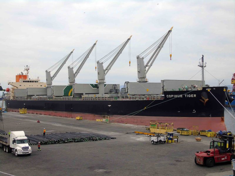 COPIHUE TIGER - Dry bulk / Supramax / Open hatch