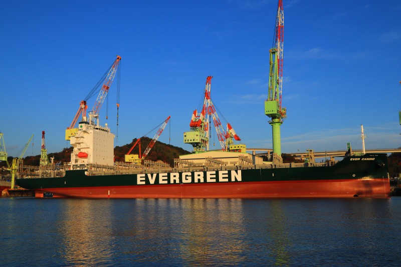 EVER CANDID - Container / Feeder 2