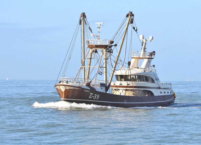 SOPHIE Z39 - Fishing
