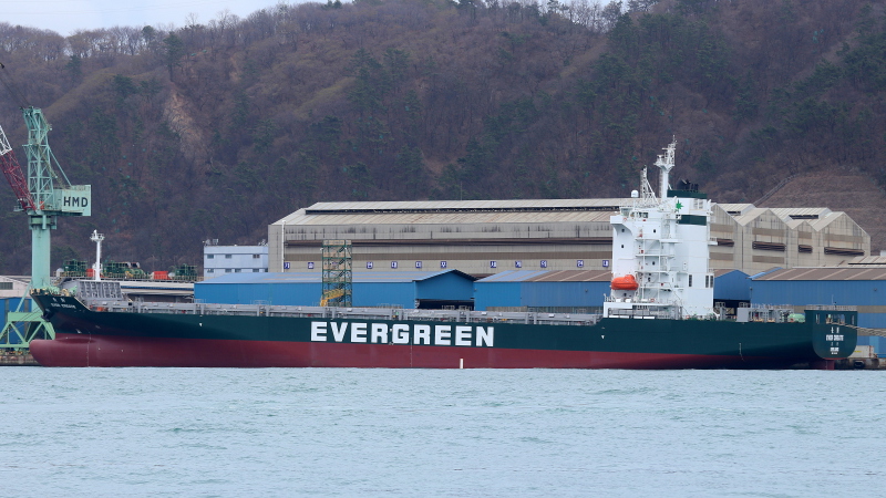 EVER CREATE - Container / Feeder 2