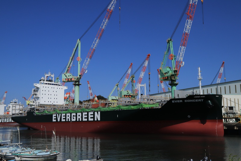 EVER CONCERT - Container / Feeder 2