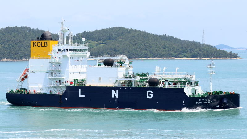 BLUE WHALE - Bunker LNG