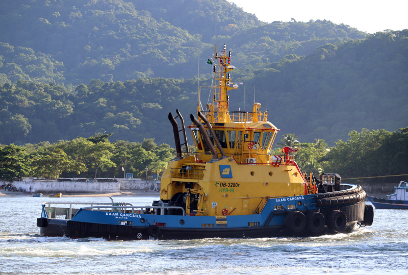 SAAM CARCARA - Tug