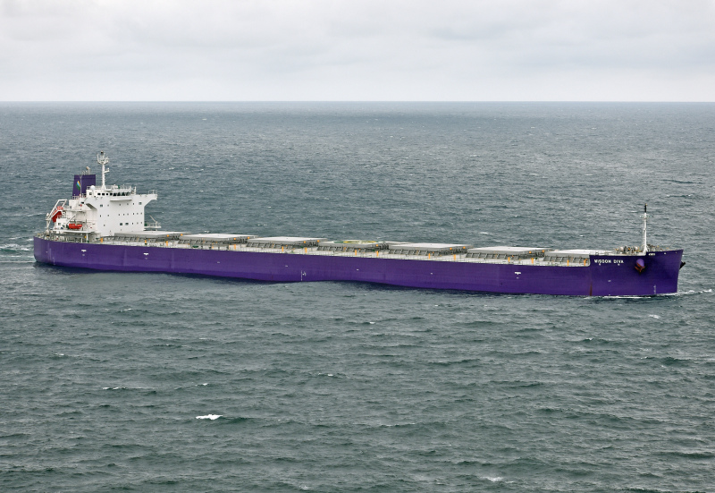 WISDOM DIVA - Dry bulk / Kamsarmax