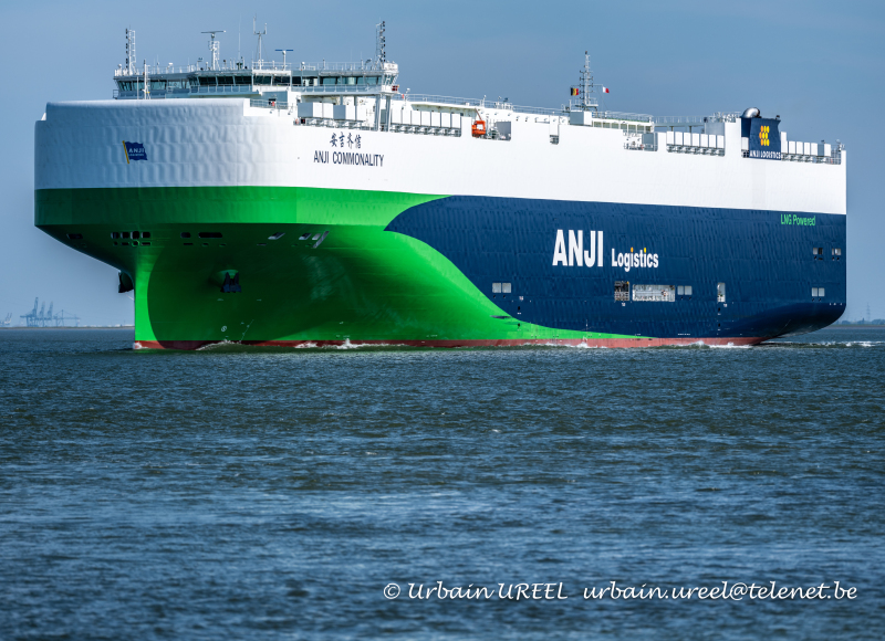 ANJI COMMONALITY - Car carrier / Large