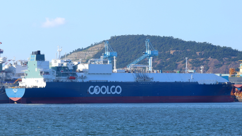 KOOL TIGER - LNG / Large